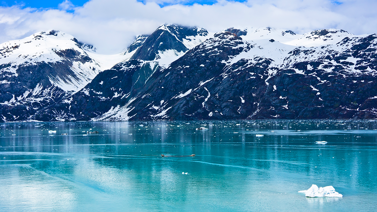 Cruise Planners - Lisa & Dan Mattern & Associates Sterling Heights Michigan